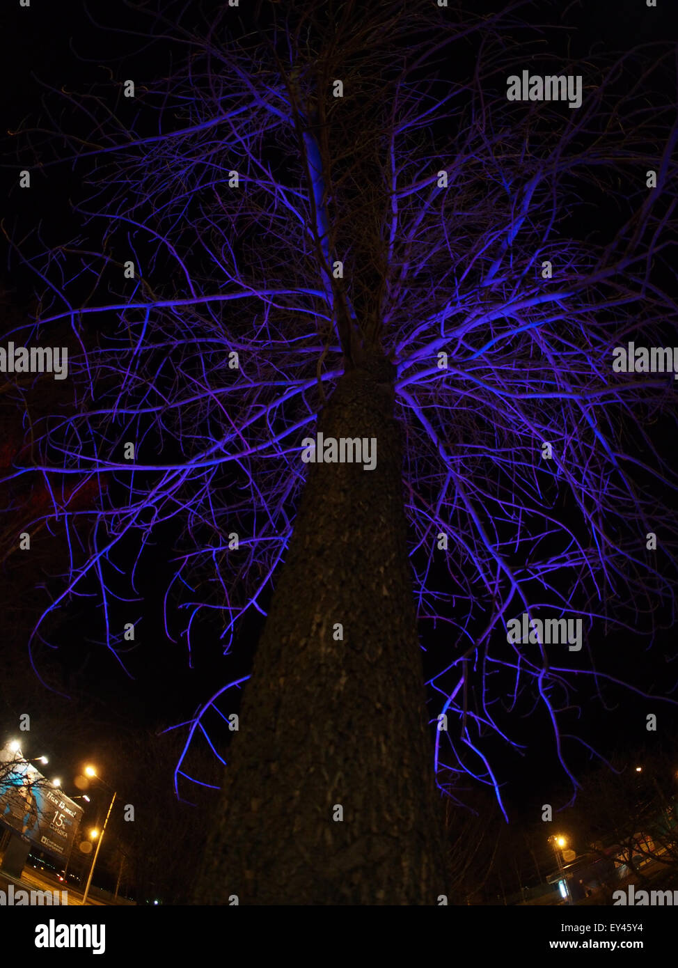 tree with light Stock Photo - Alamy
