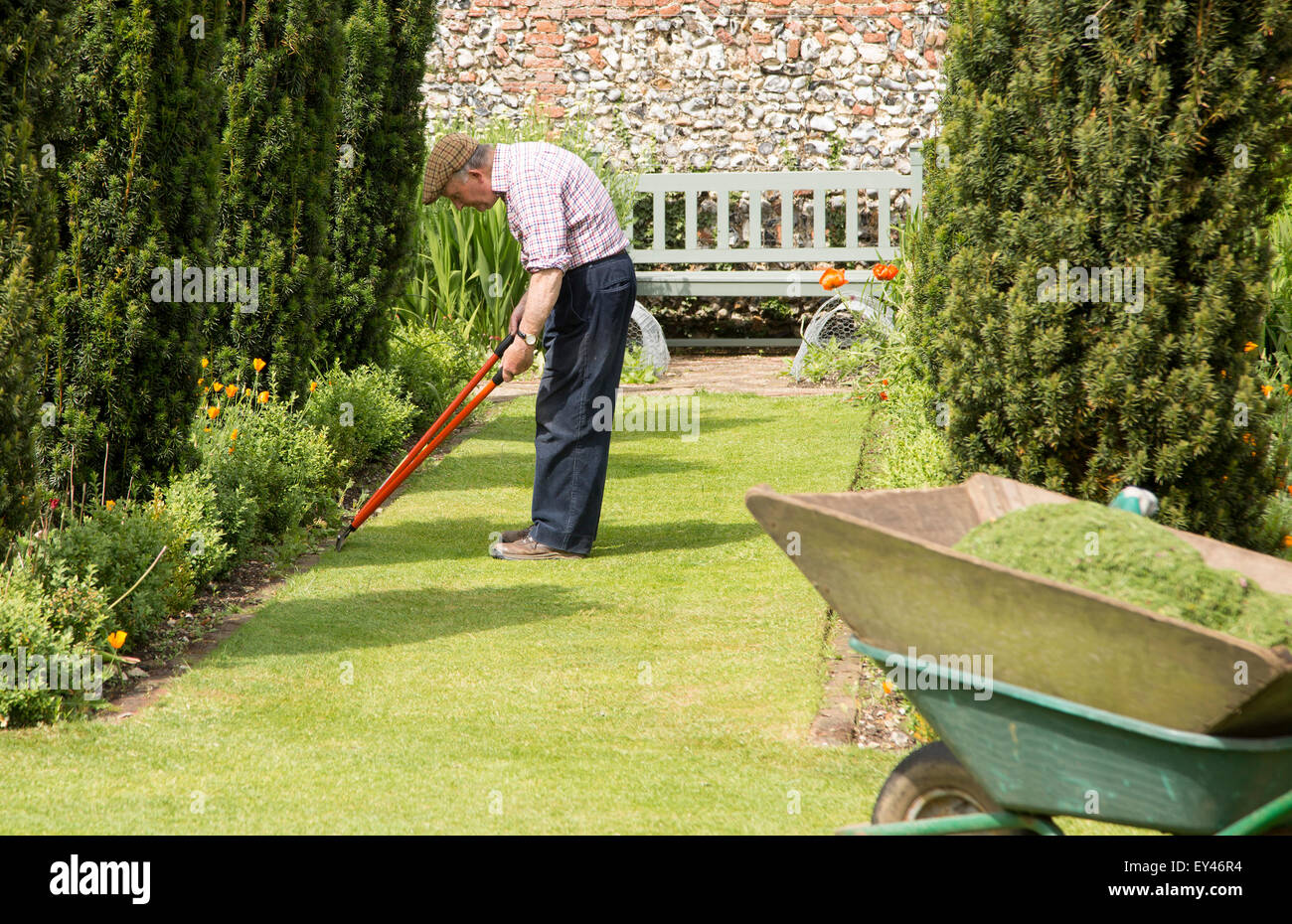 Gardener working on the lawn, Wyken Hall gardens, Suffolk, England, UK ...