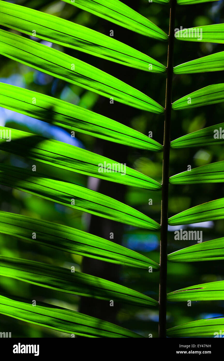Backl hi-res stock photography and images - Alamy