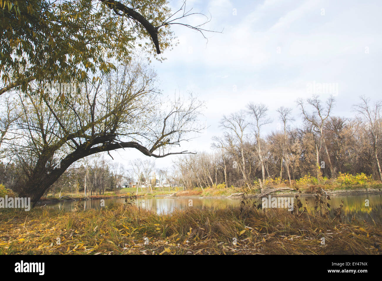 River and fall colors hi-res stock photography and images - Alamy