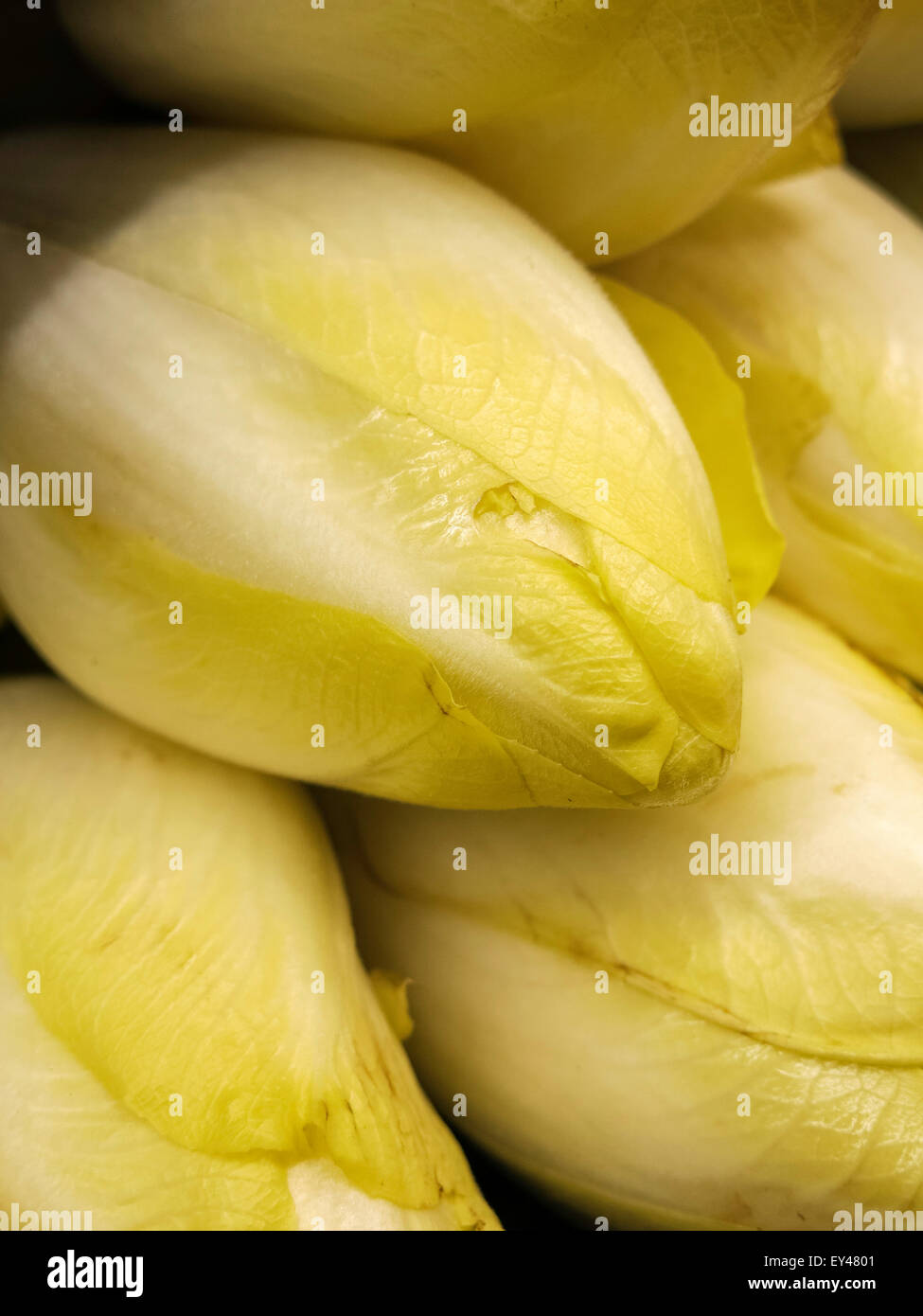 Endive, Grocery Store, USA Stock Photo - Alamy