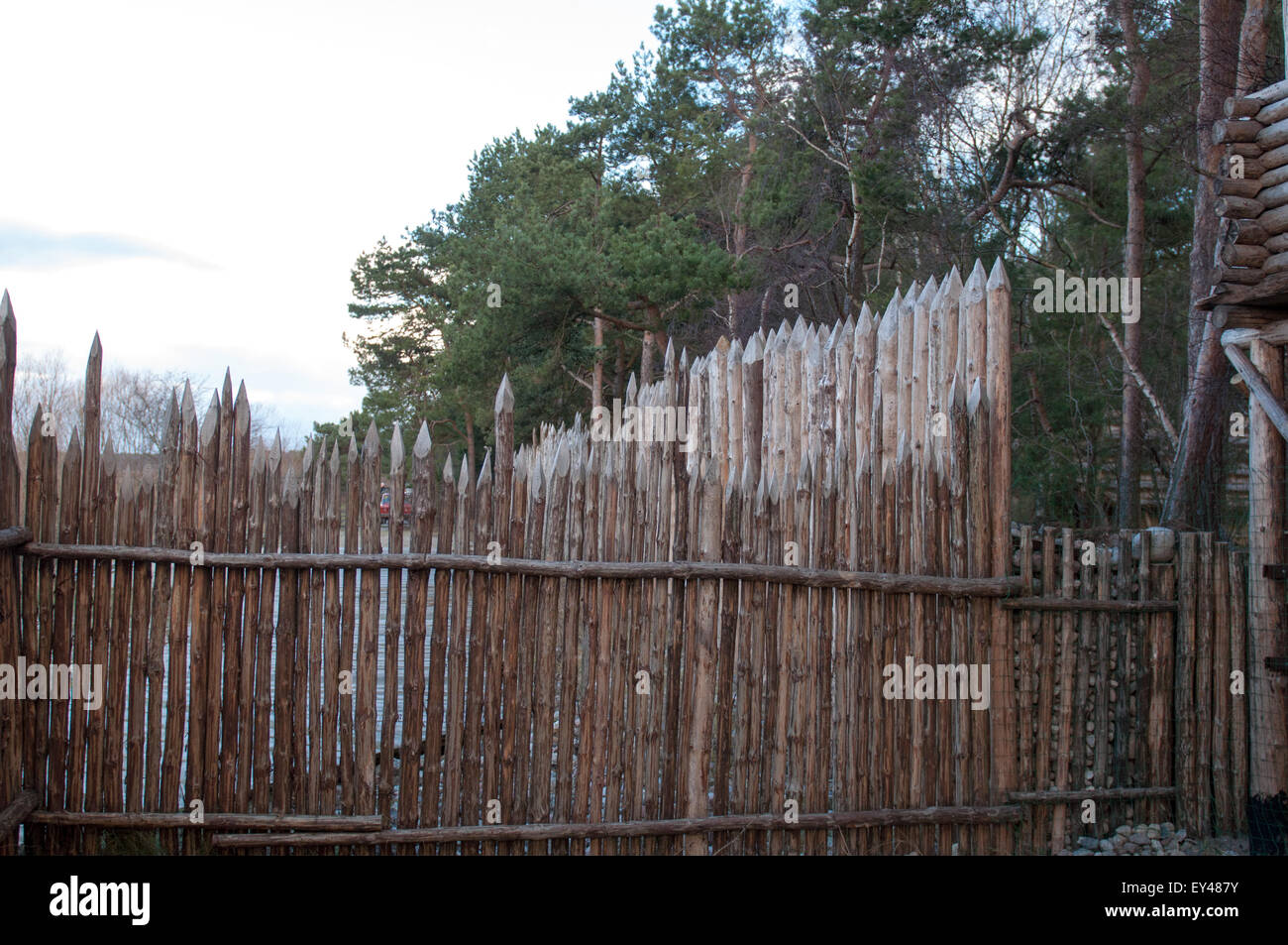 Wooden fence in the national park Curonian Spit. Spring season Stock ...