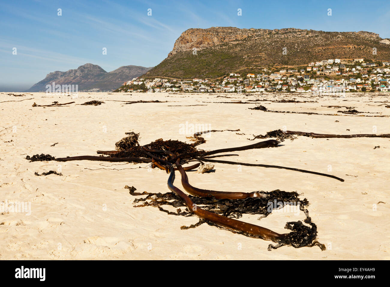 False Bay beach near Kalk Bay Cape Town South Africa, with Fish Hoek in ...