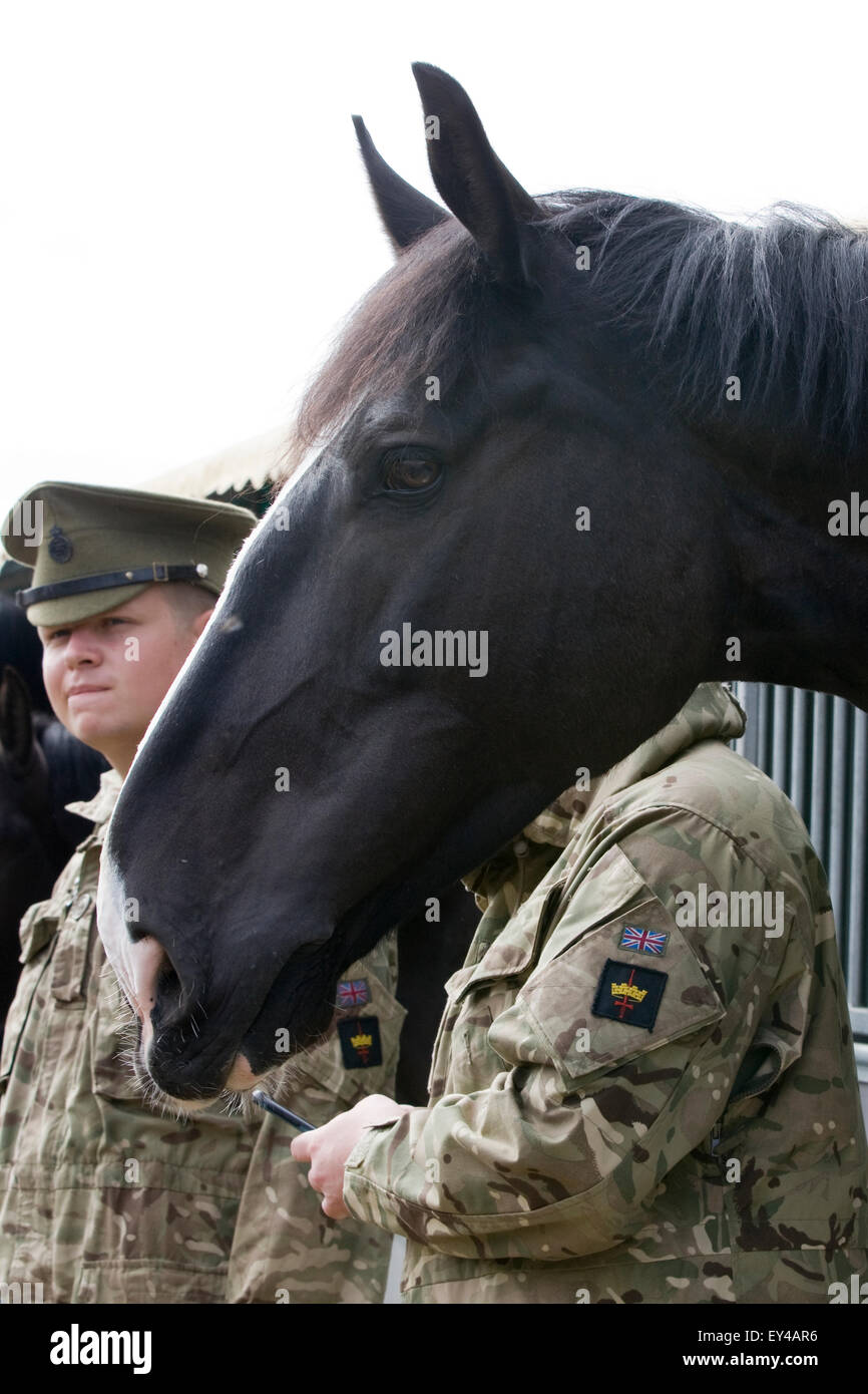 Household cavalry display hi-res stock photography and images - Alamy