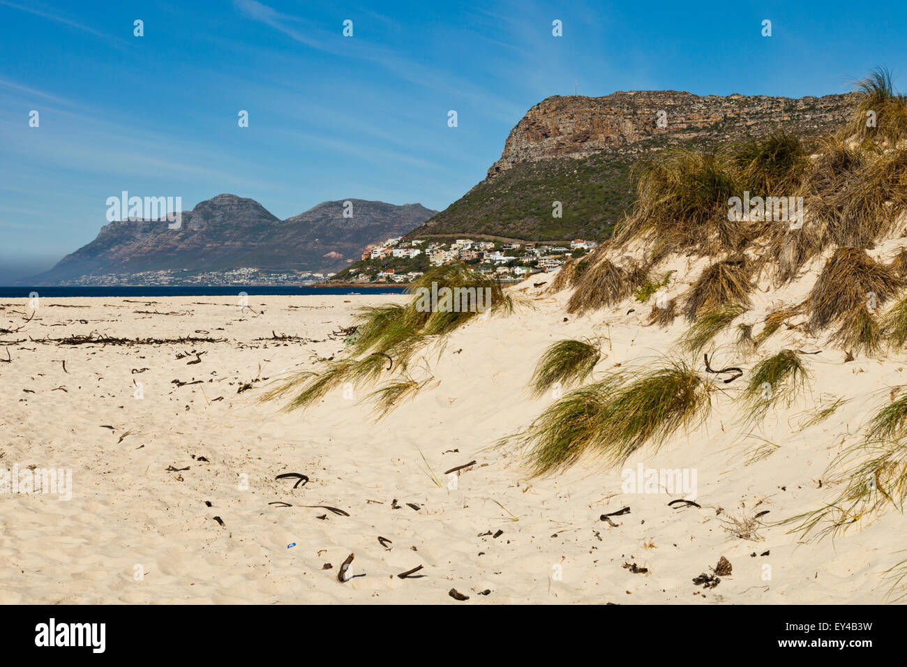 Dunes on False Bay beach near Kalk Bay Cape Town South Africa, with ...