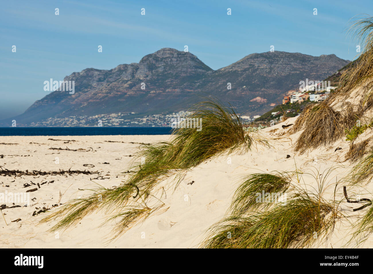 South africa fish hi-res stock photography and images - Alamy