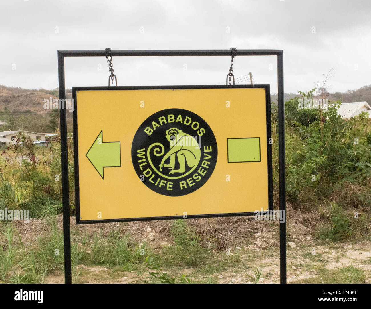 Barbados wildlife reserve hi-res stock photography and images - Alamy