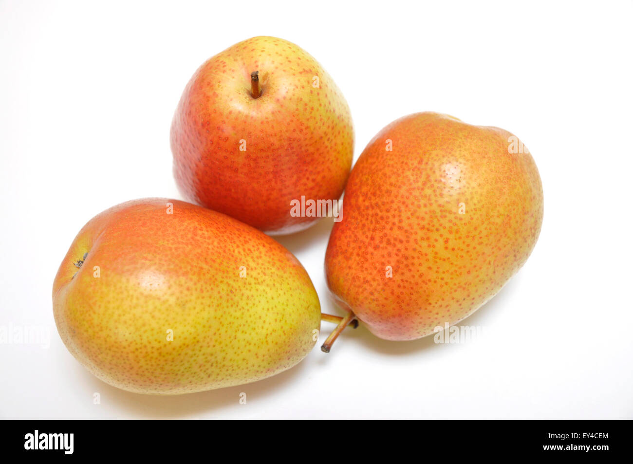 Forelle hi-res stock photography and images - Alamy