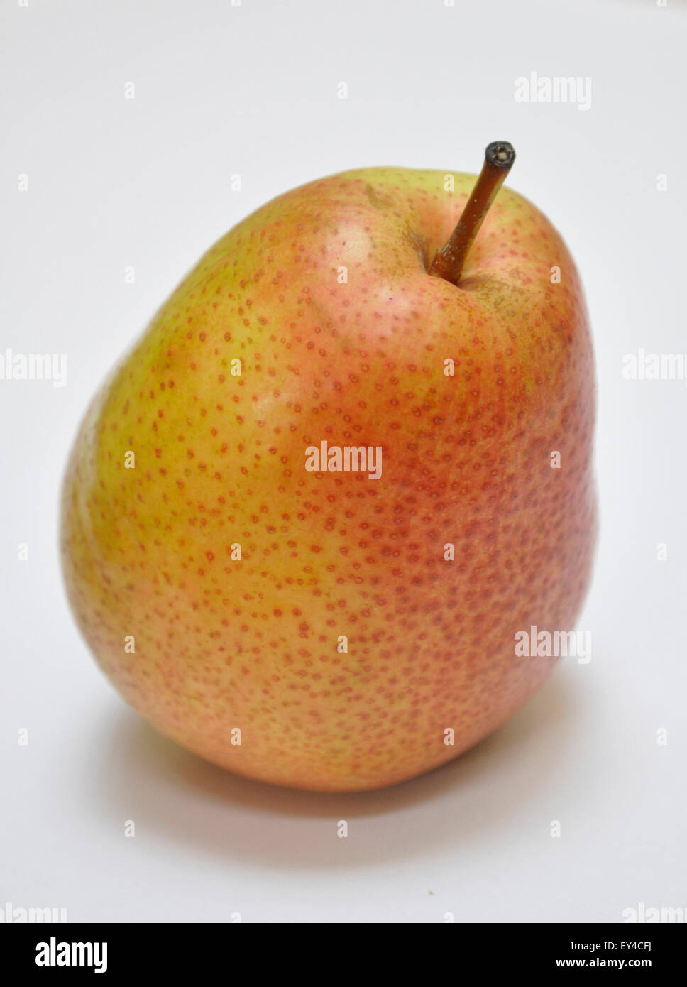 Forelle hi-res stock photography and images - Alamy