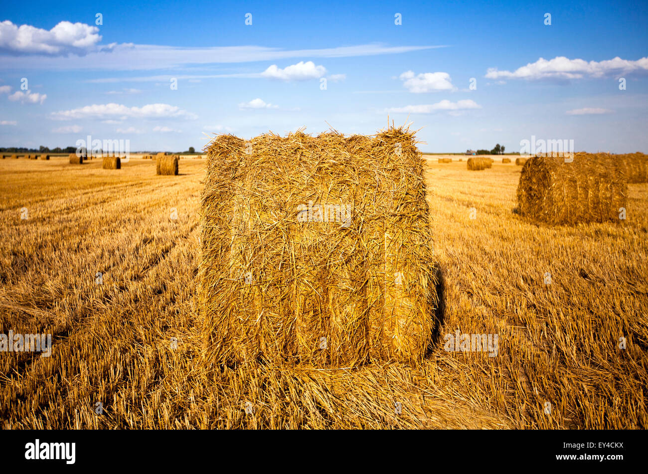 Newstraw hi-res stock photography and images - Alamy