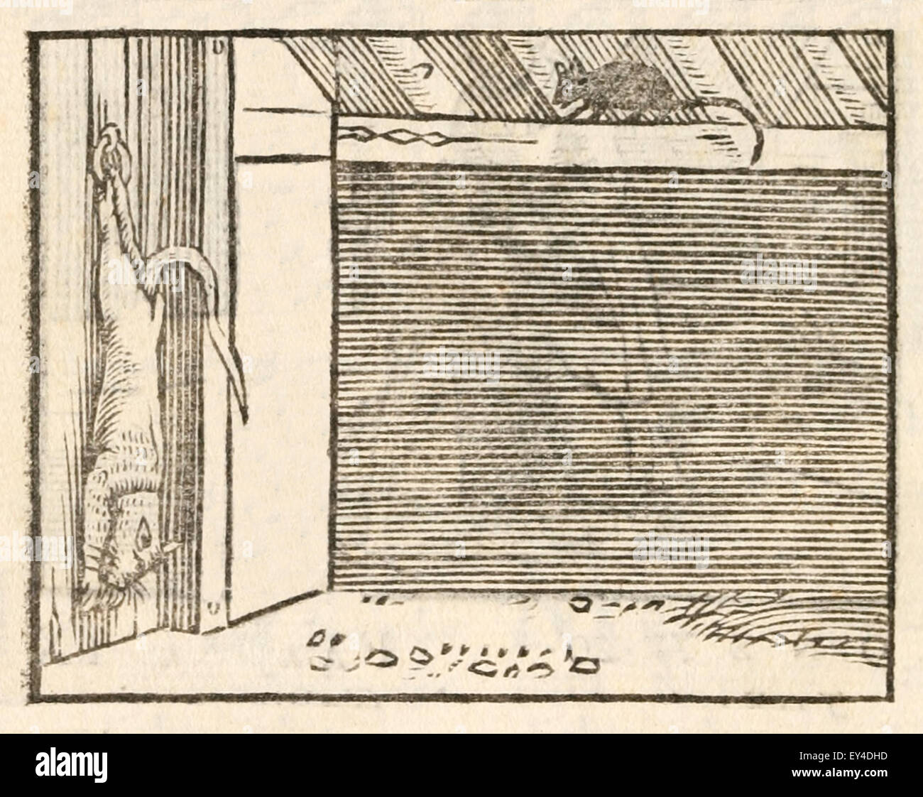 'The Cat and the Mice' fable by Aesop (circa 600BC). A cat pretends to ...