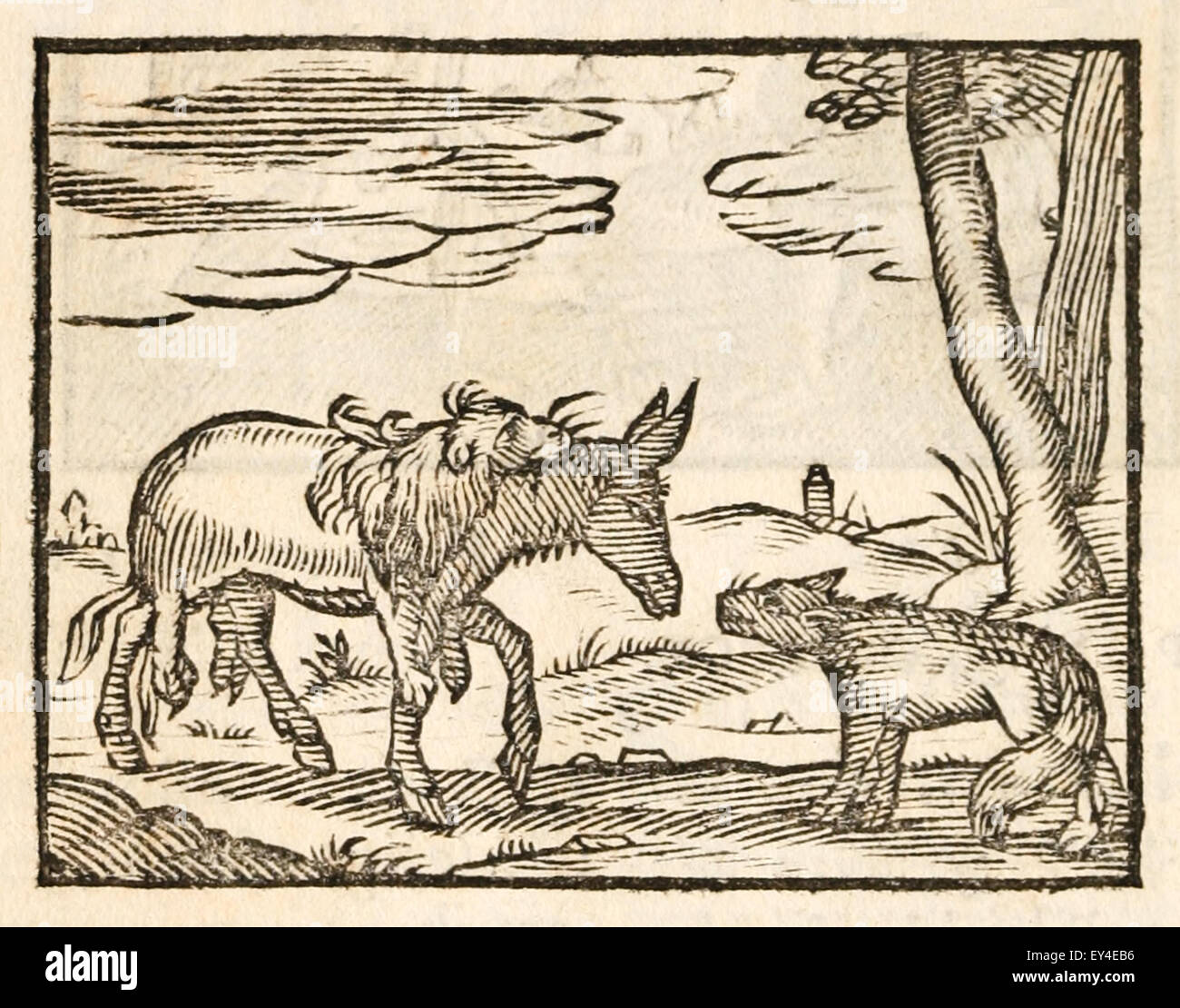 'The Ass in the Lion's Skin' fable by Aesop (circa 600BC). Ass that puts on a lion's skin and ...