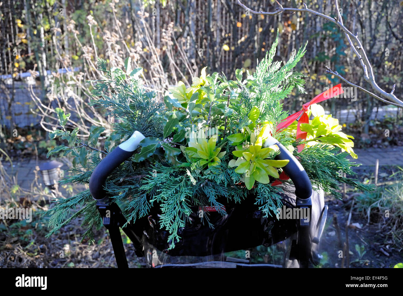 King henry’s walk garden hi-res stock photography and images - Alamy