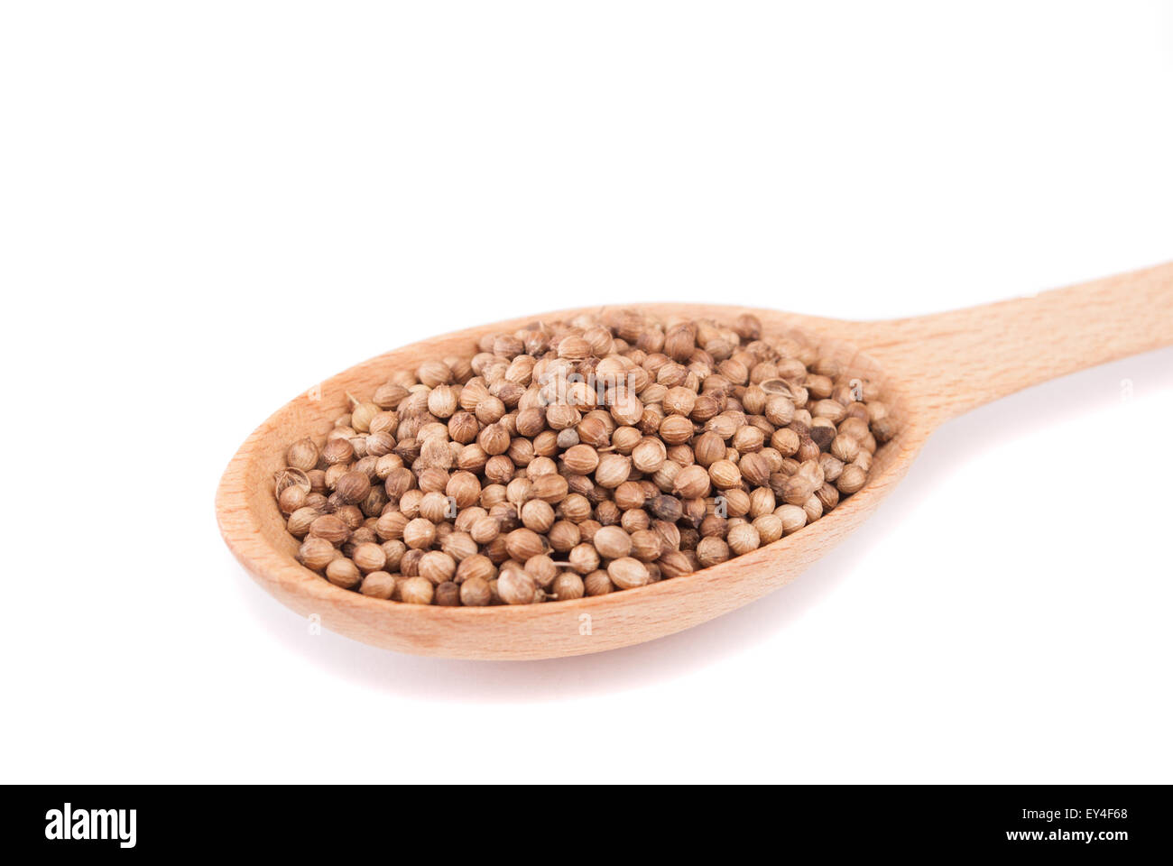 Coriander spoon in closeup isolated on white background Stock Photo - Alamy