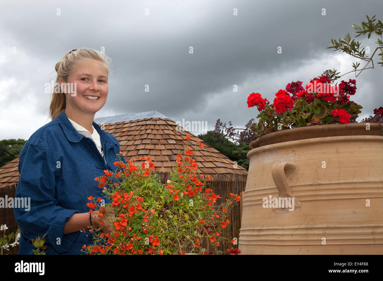 Habitat plant pots hi-res stock photography and images - Alamy