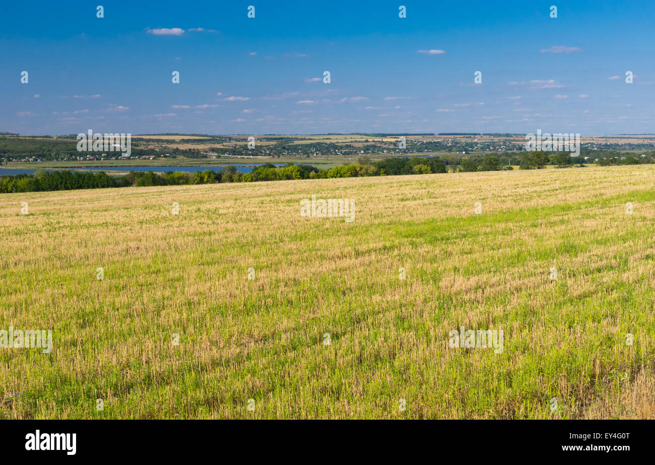 Ukrainian agricultural landscape with mowed crop field at the end of ...