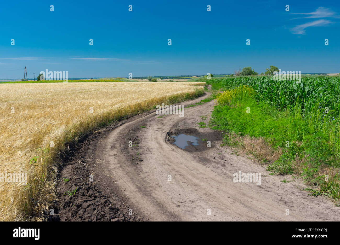 Rural road among agricultural fields Stock Photo - Alamy