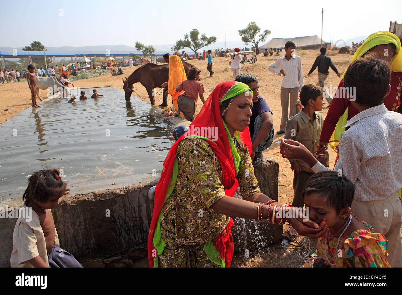 Animals in slums hi-res stock photography and images - Alamy