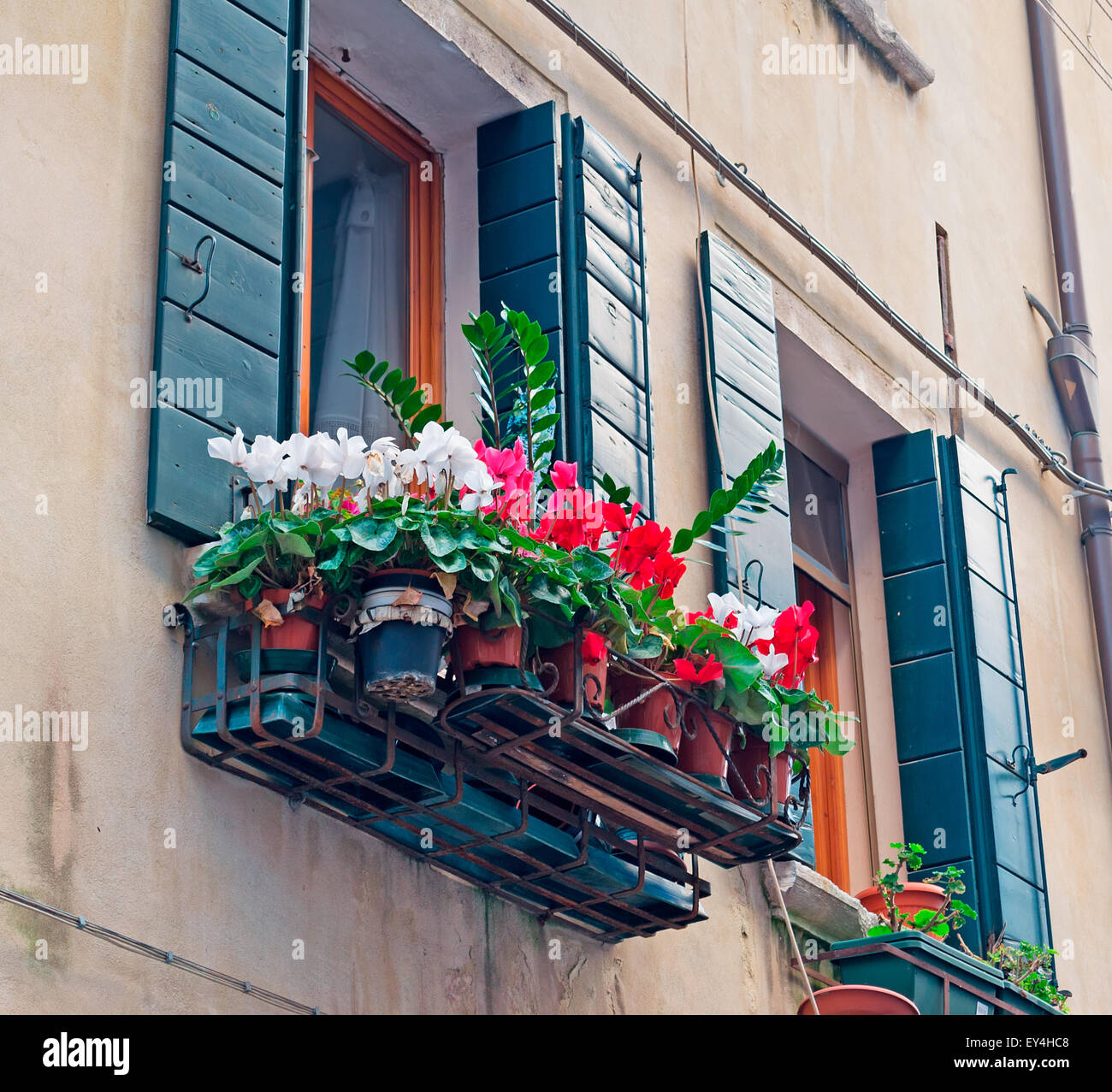 picturesque windows in Venice, Italy Stock Photo - Alamy