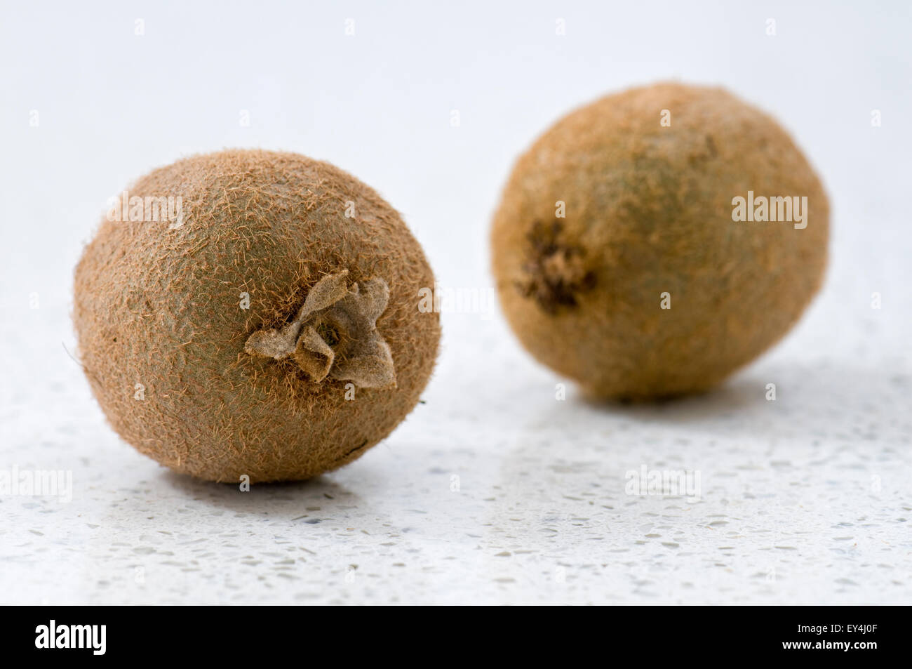 Whole two hi-res stock photography and images - Alamy