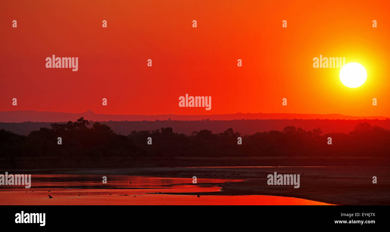 Sunset at Luangwa, South Luangwa National park, Zambia Stock Photo - Alamy