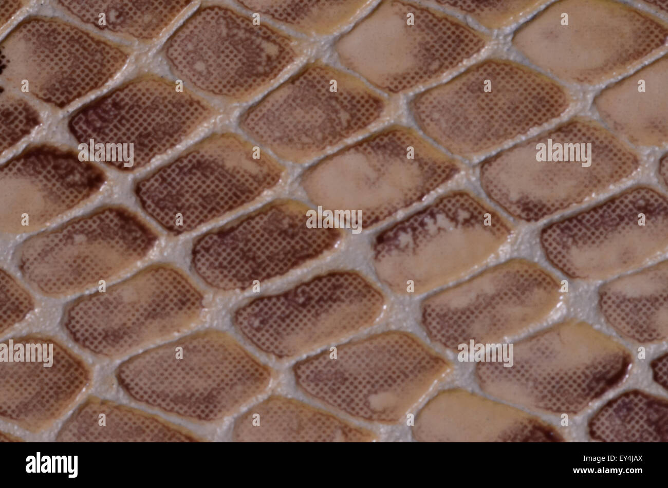 Snake Skin Seamless Pattern Texture Stock Photo - Alamy