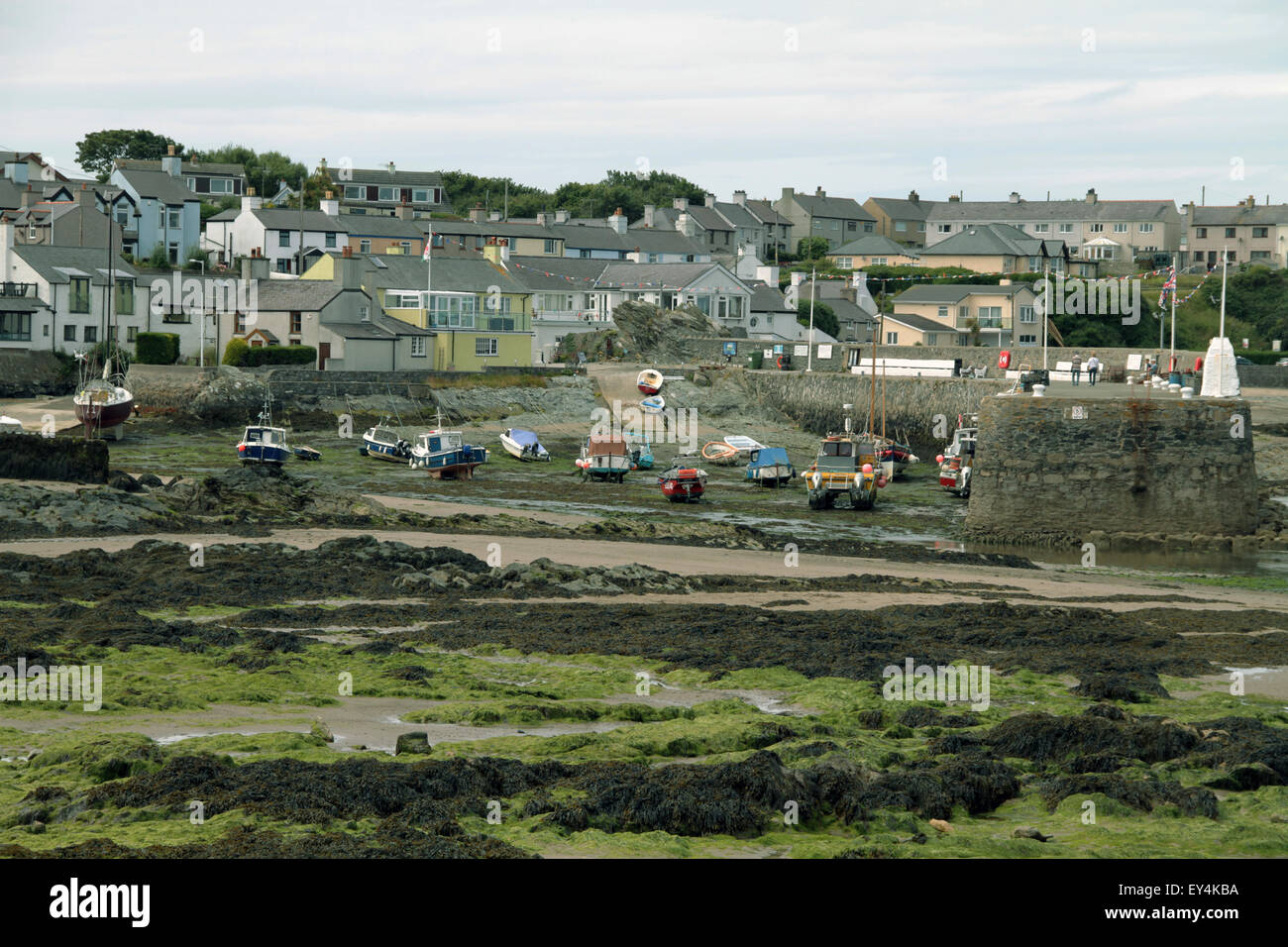 Cemaes bay hi-res stock photography and images - Alamy