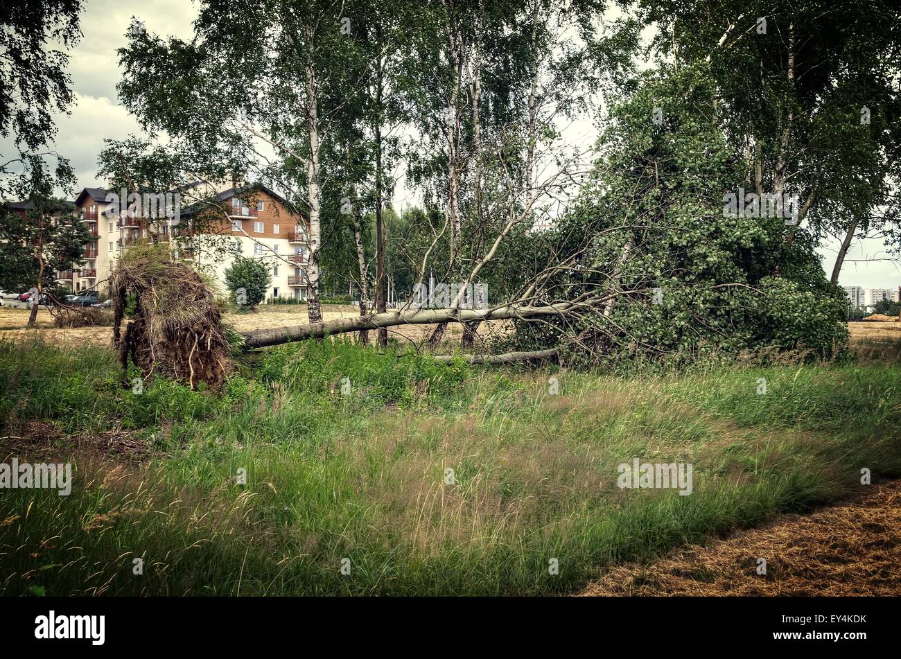 Damaged ecosystem hi-res stock photography and images - Alamy