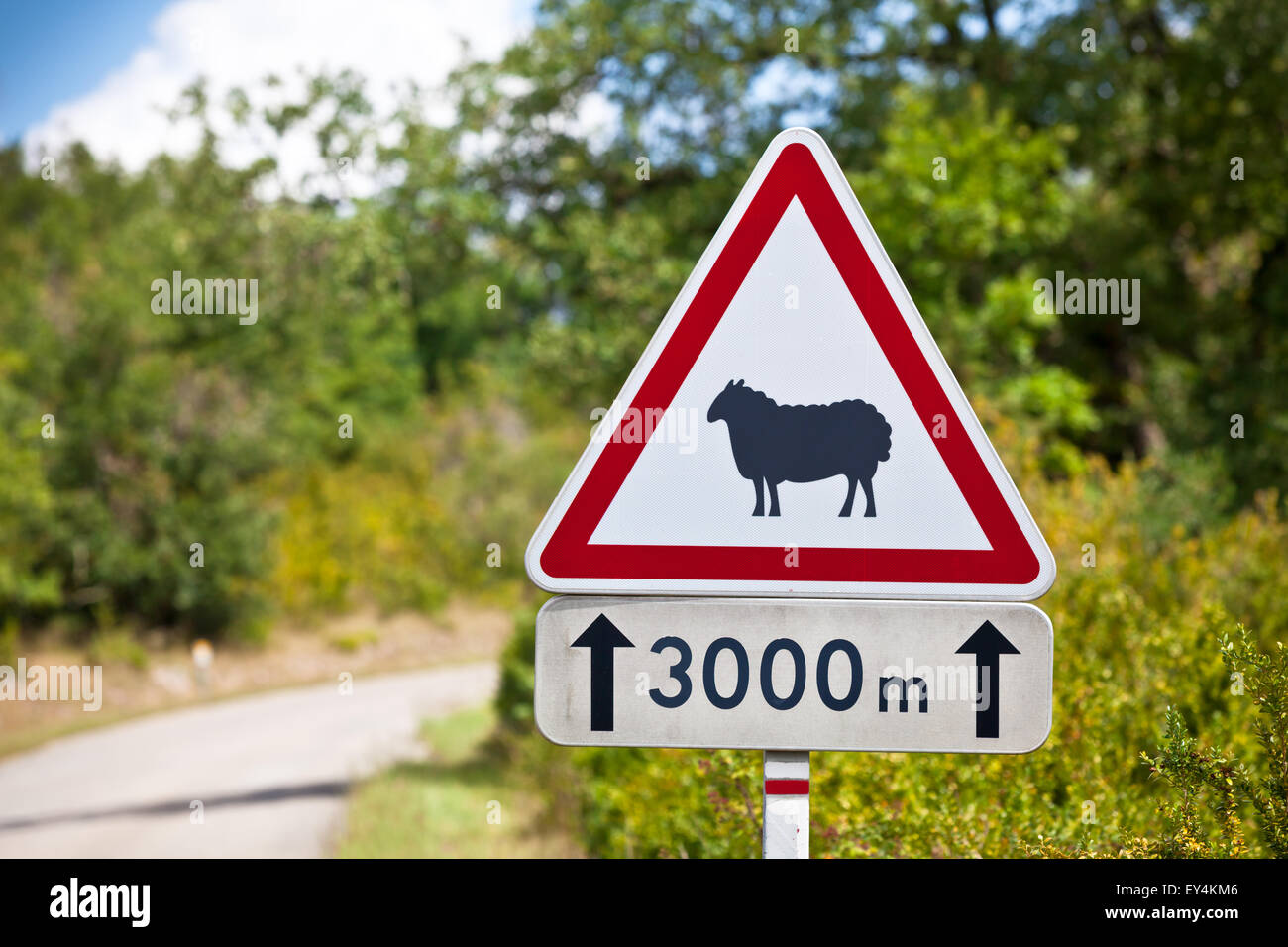 Sheep crossing sign hi-res stock photography and images - Alamy