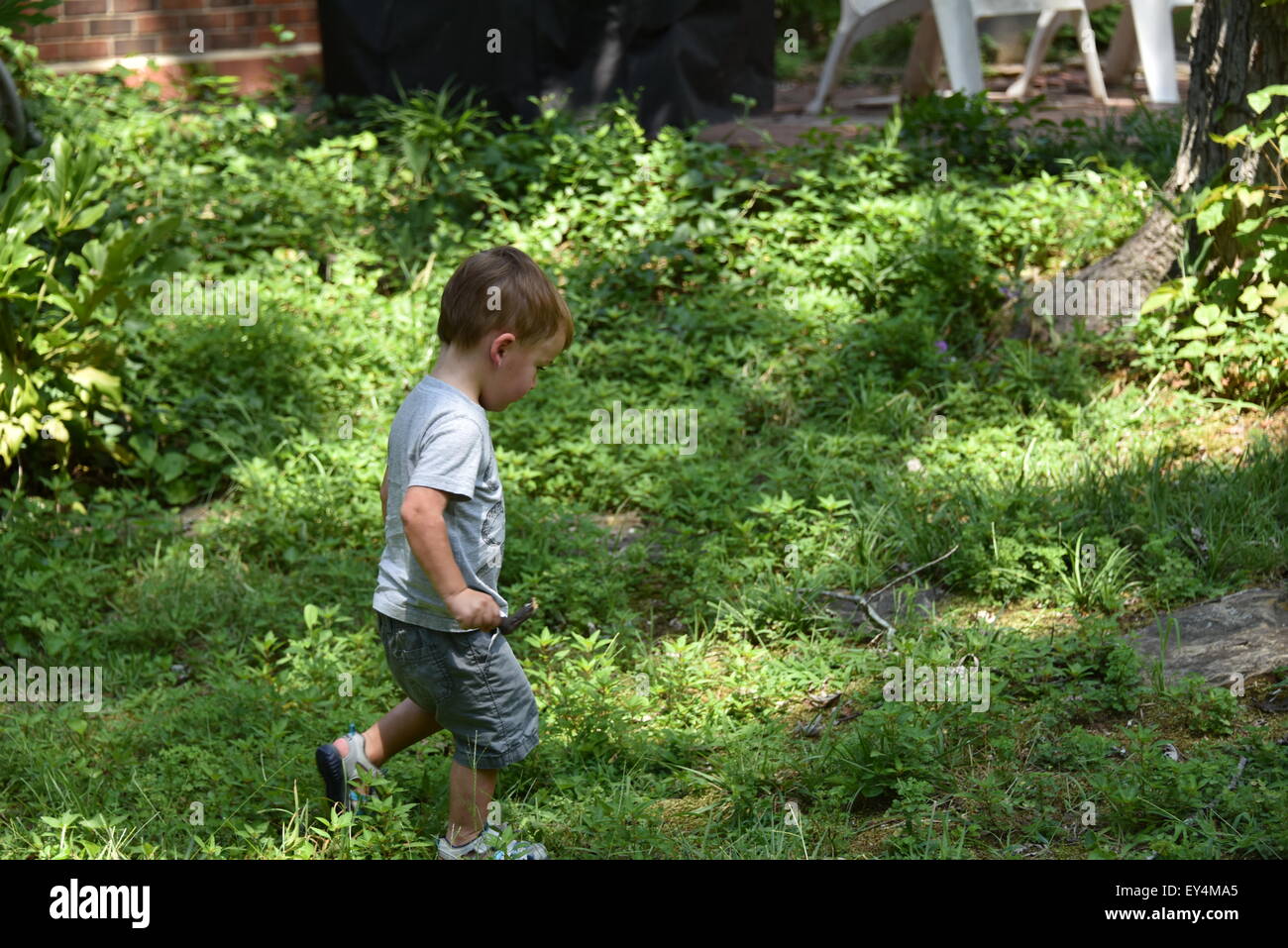 Boy running in the backyard Stock Photo - Alamy