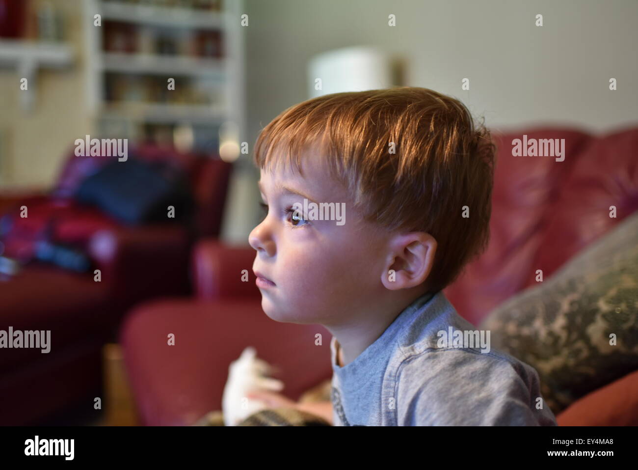 Boy watching TV Stock Photo - Alamy