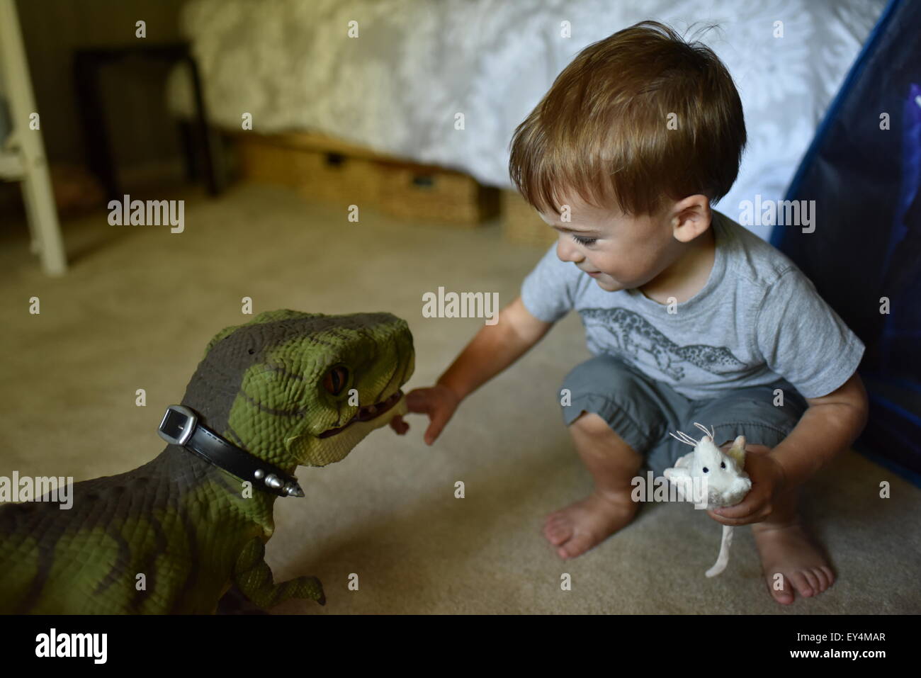Boy and his little T-Rex Stock Photo - Alamy