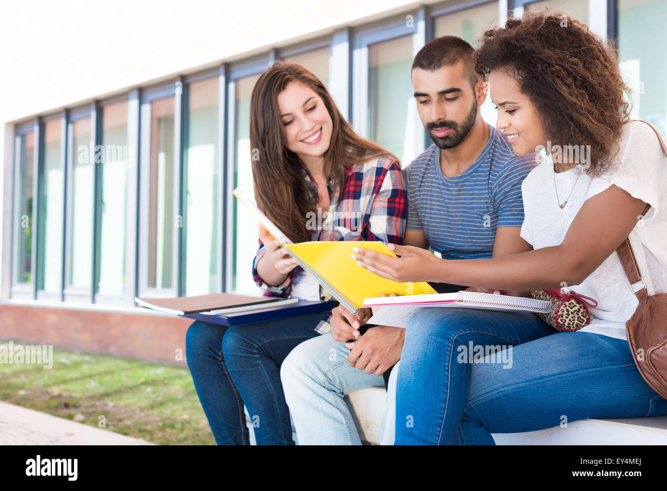 Multi-Ethnic group of students in School Campus Stock Photo - Alamy