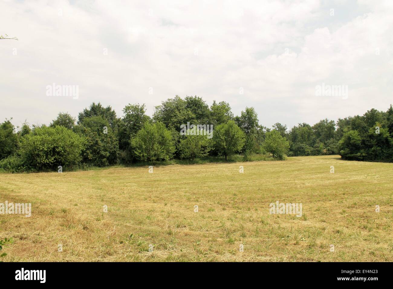 landscape of uncultivated fields in northern Italy Stock Photo - Alamy