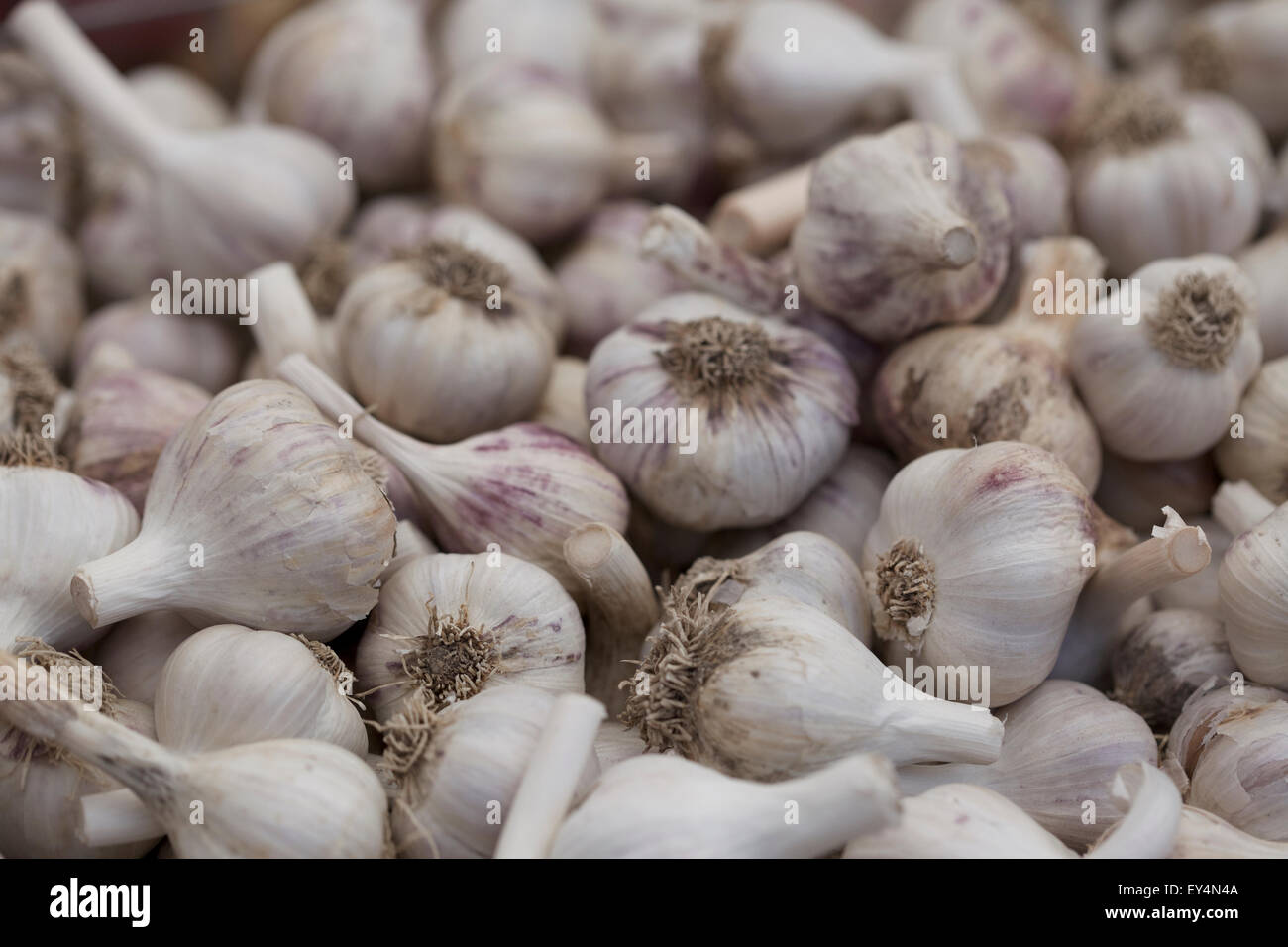 Organic garlic hi-res stock photography and images - Alamy