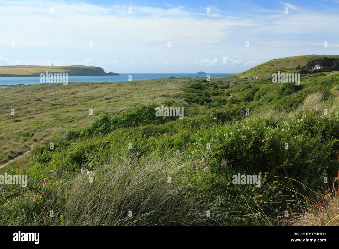 Coastal path from Rock to Polzeath, Camel estuary, North Cornwall ...
