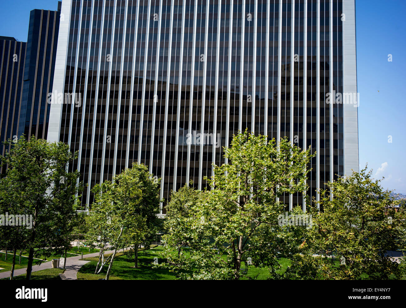 A group of high rise corporate office buildings surround a park in Los ...