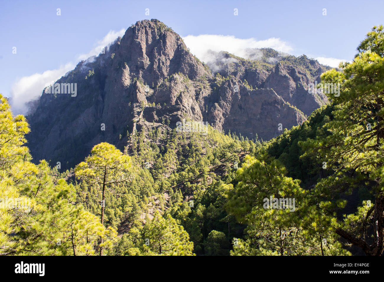 The Caldera de Taburiente National Park in La Palma, Canary Island ...