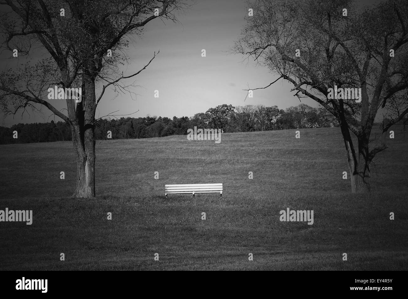 Bench In Field Stock Photo - Alamy