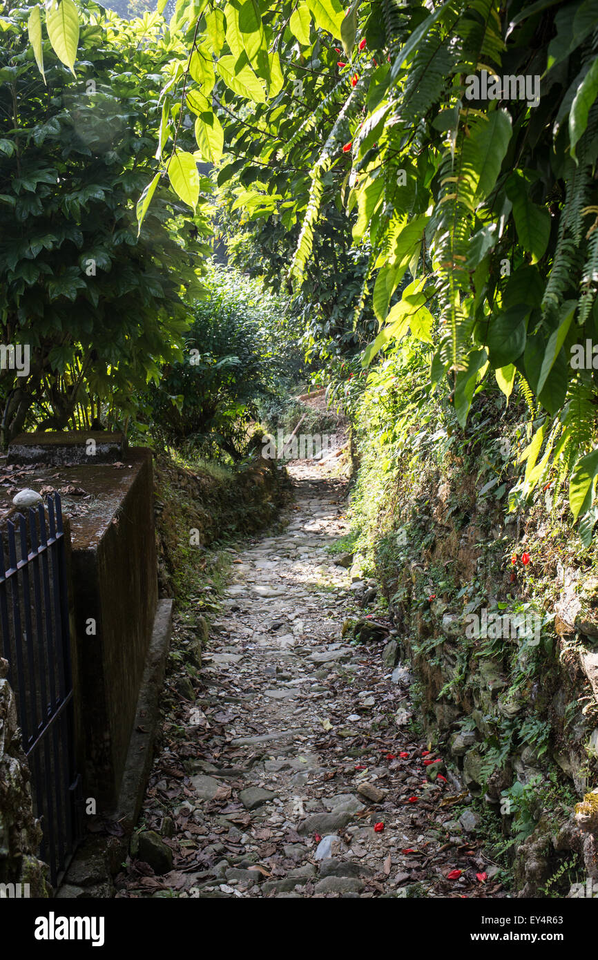 Stone path in the mountains Stock Photo - Alamy