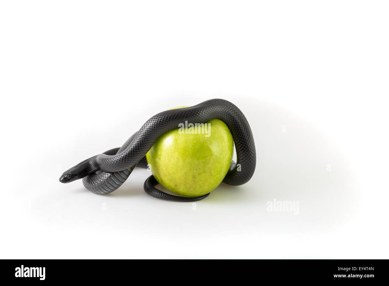 Temptation and original sin hi-res stock photography and images - Alamy