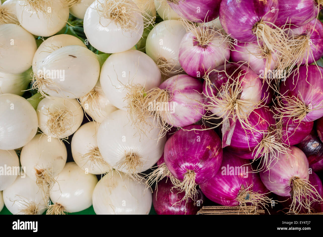 Oignons rouge blanc hi-res stock photography and images - Alamy