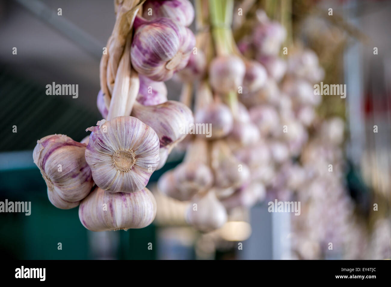 Strings of Garlic at the market Stock Photo - Alamy