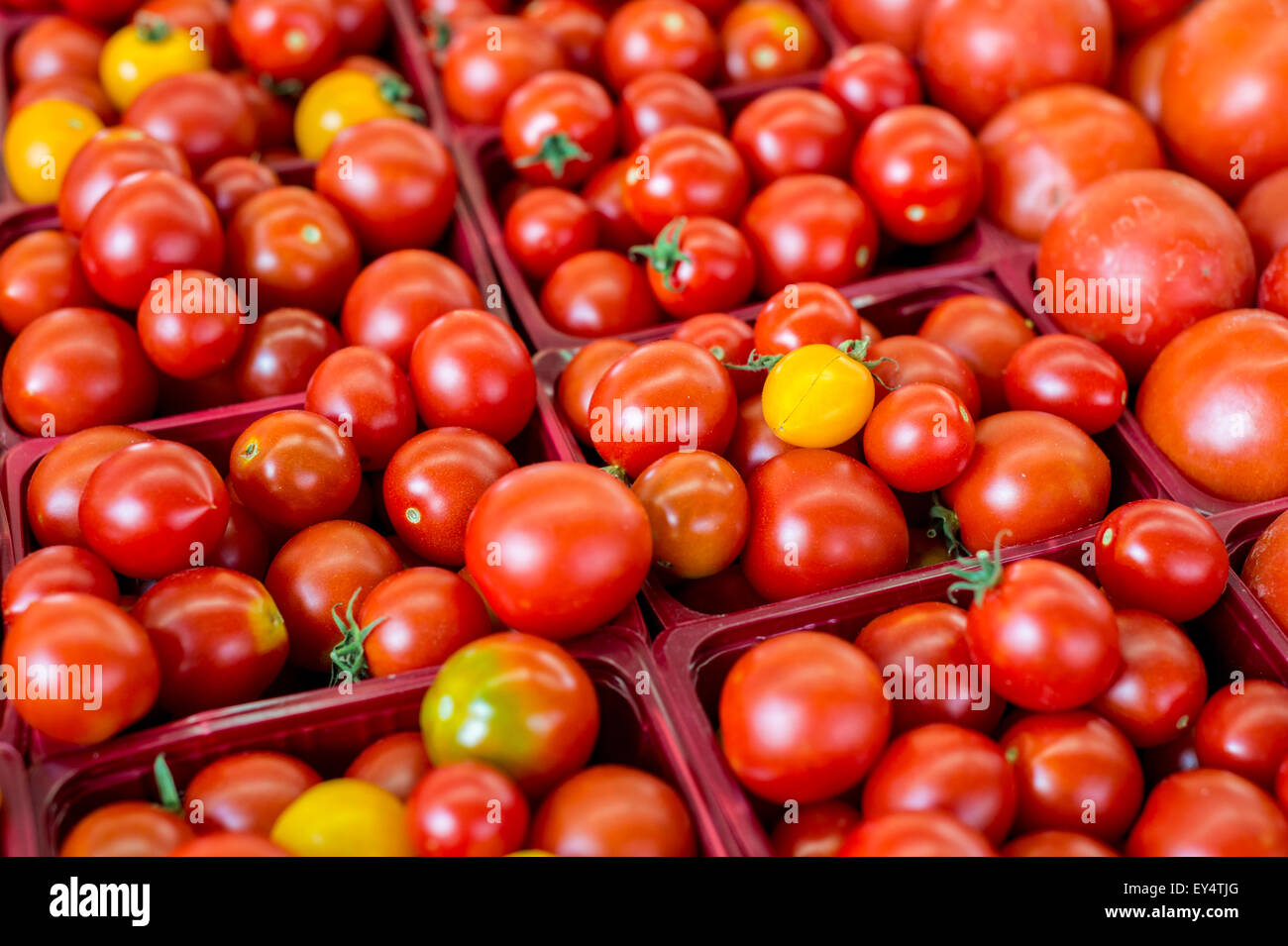 Display red tomatoes sale hi-res stock photography and images - Alamy