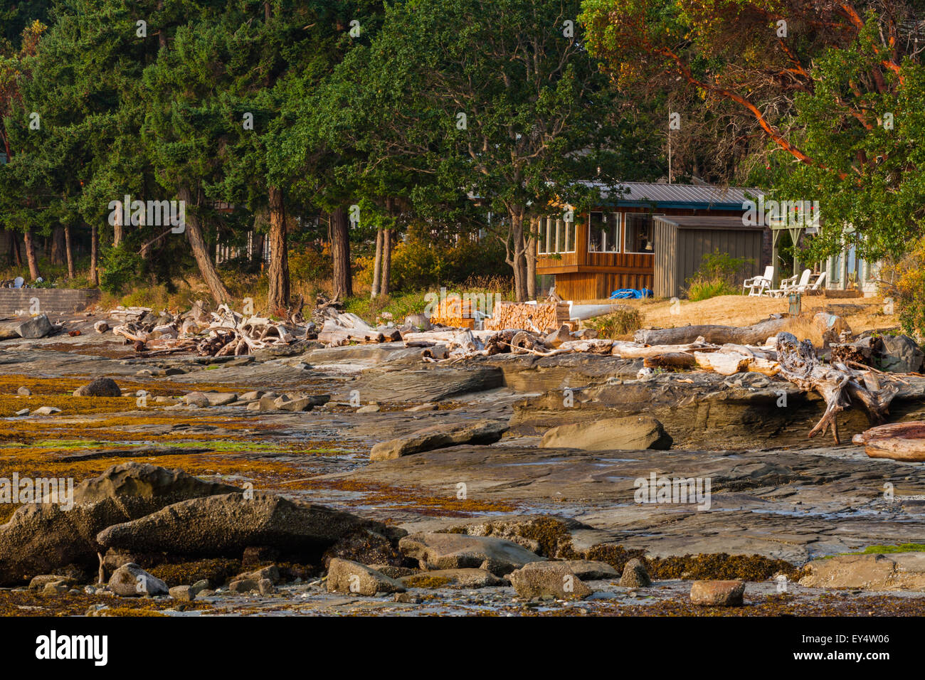 The beach at Smuggler's Park on Protection Island, Nanaimo, British ...