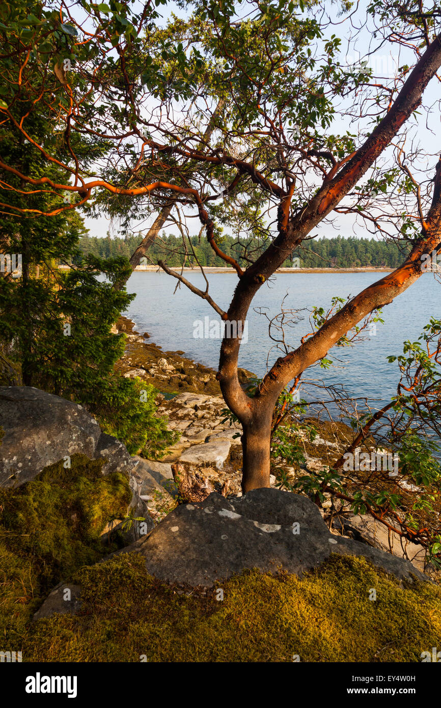 Newcastle island hi-res stock photography and images - Alamy