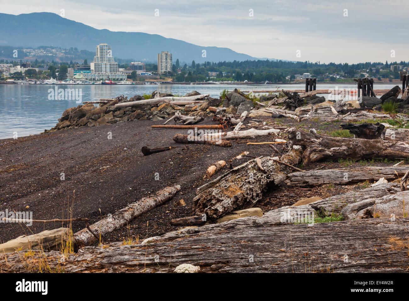 Commercial logging hi-res stock photography and images - Alamy