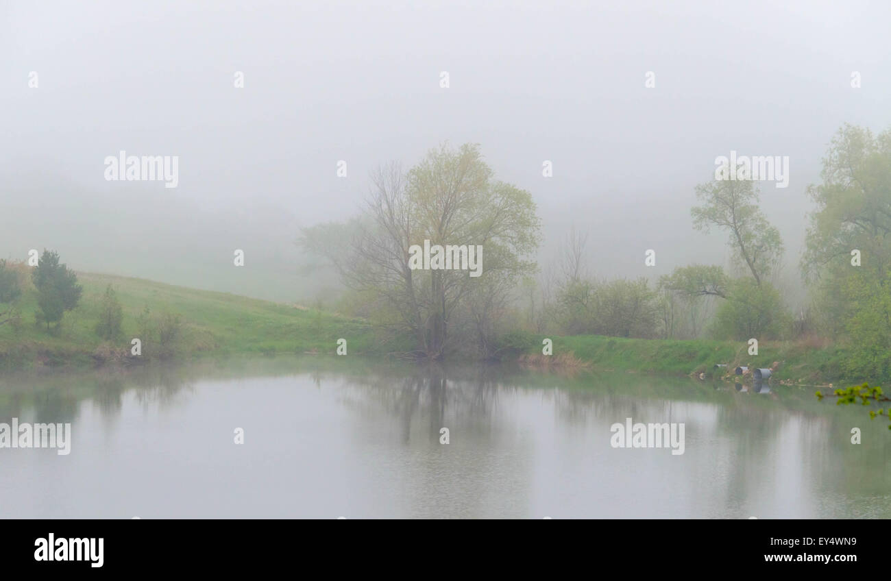 Pond in the fog Stock Photo - Alamy