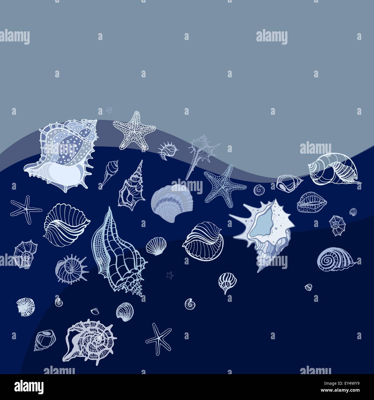 Background. Sea shells Stock Vector Image & Art - Alamy