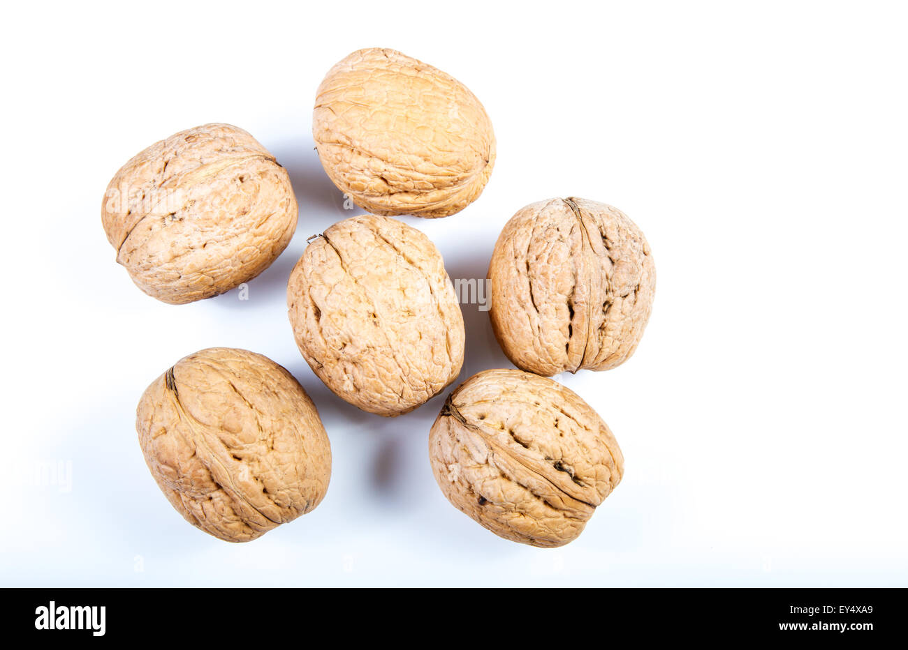 Photo of walnuts isolated on white background Stock Photo - Alamy